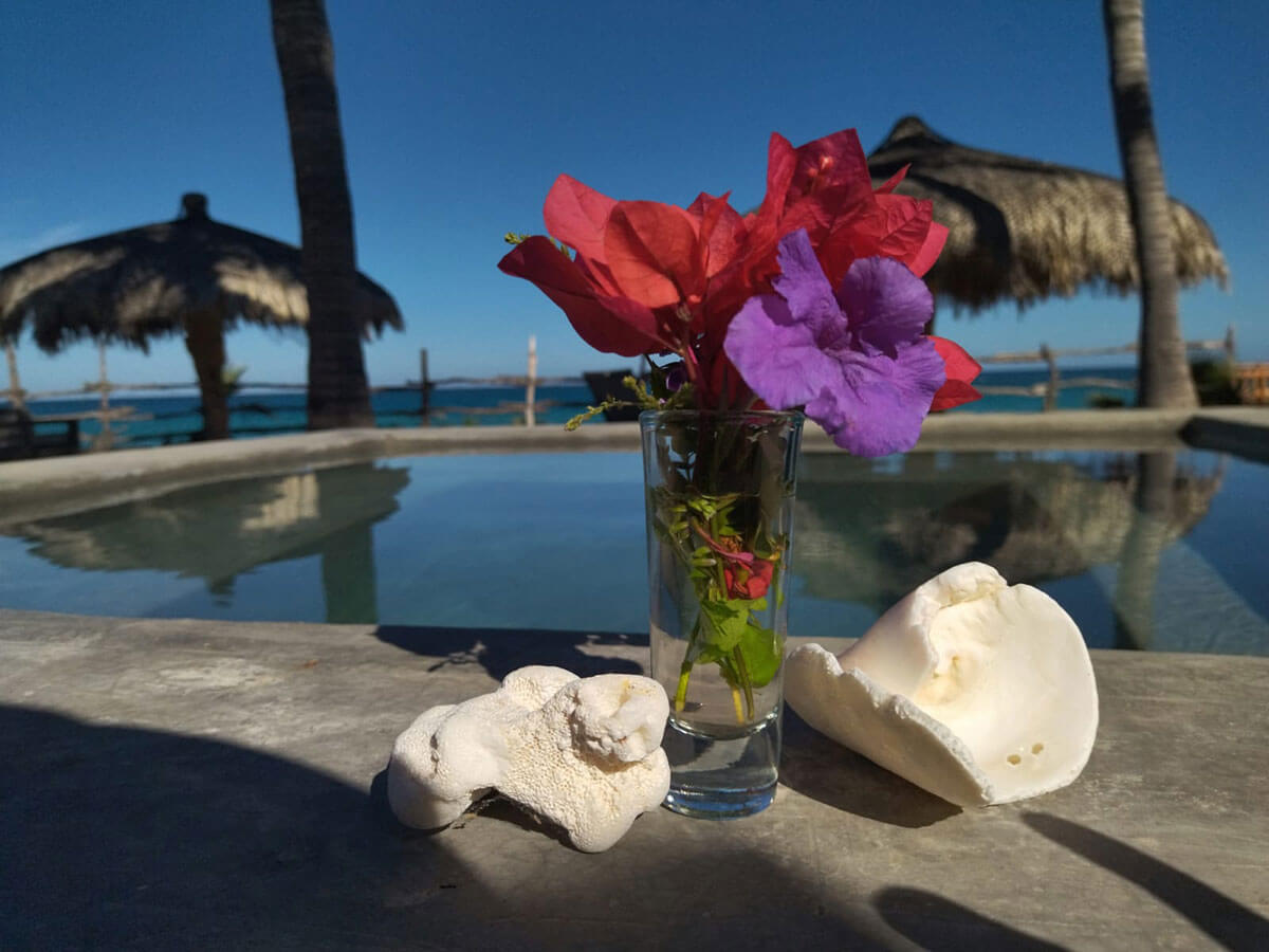 BAJA SERENITY – A luxury destination